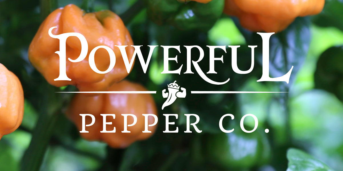 Recipes – Powerful Pepper Company